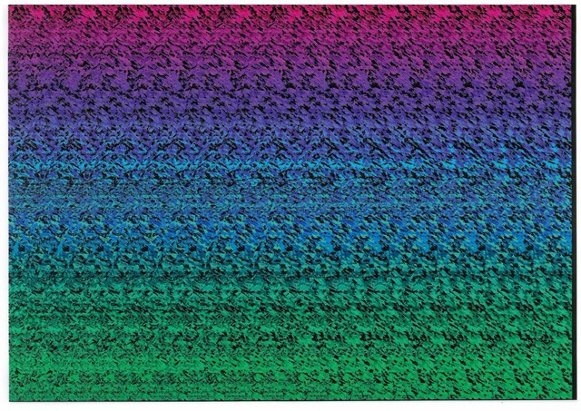 Poster 3D Eye Magic Dolphins Hidden Illusion African Safari Animals ...