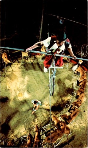 1973 Ringling Bros Circus Pio Nock Highwire Bicycle Lions Souvenir ...