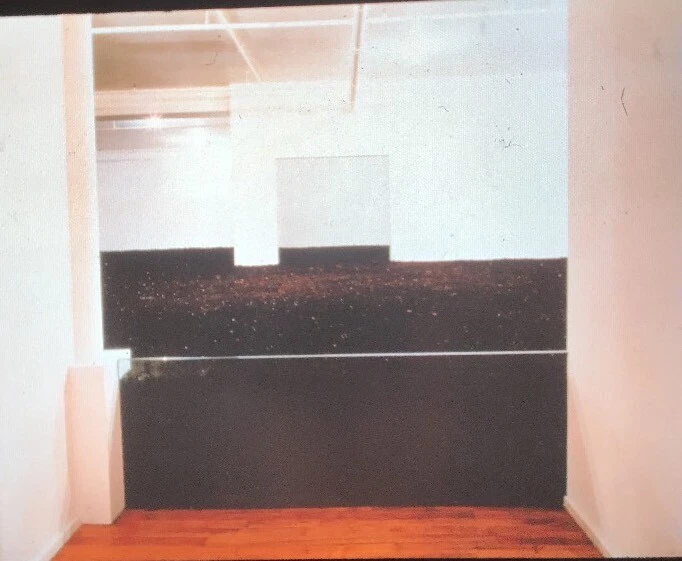 Walter De Maria Earth Room