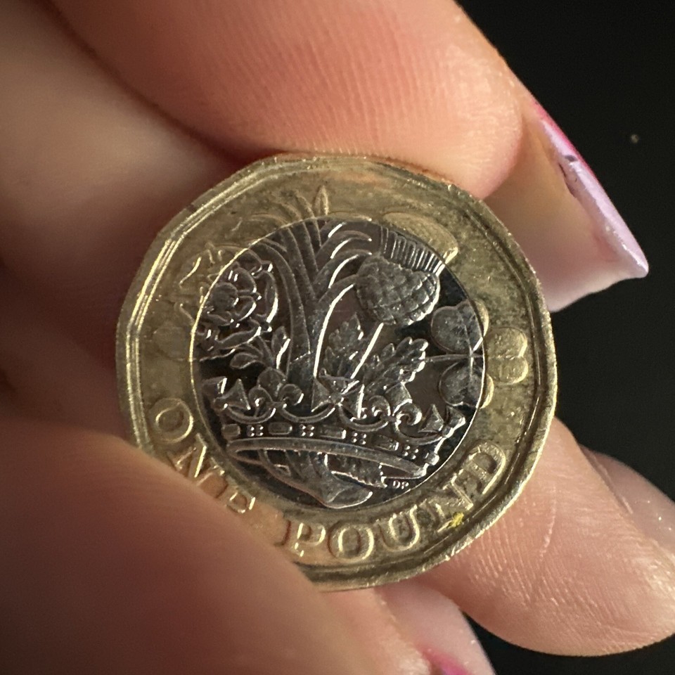 Ultra rare 1 pound coin 2017 Circulated In Good Condition £1 Pound Coin ...