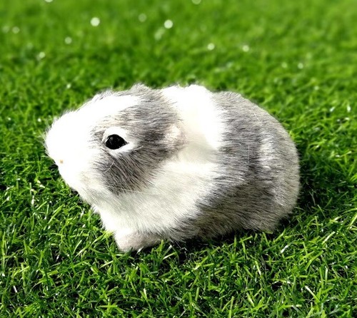 Gray Guinea Pig 5 Inch Fur Stuffed Animal Plush Toys Toddler Doll Kids ...