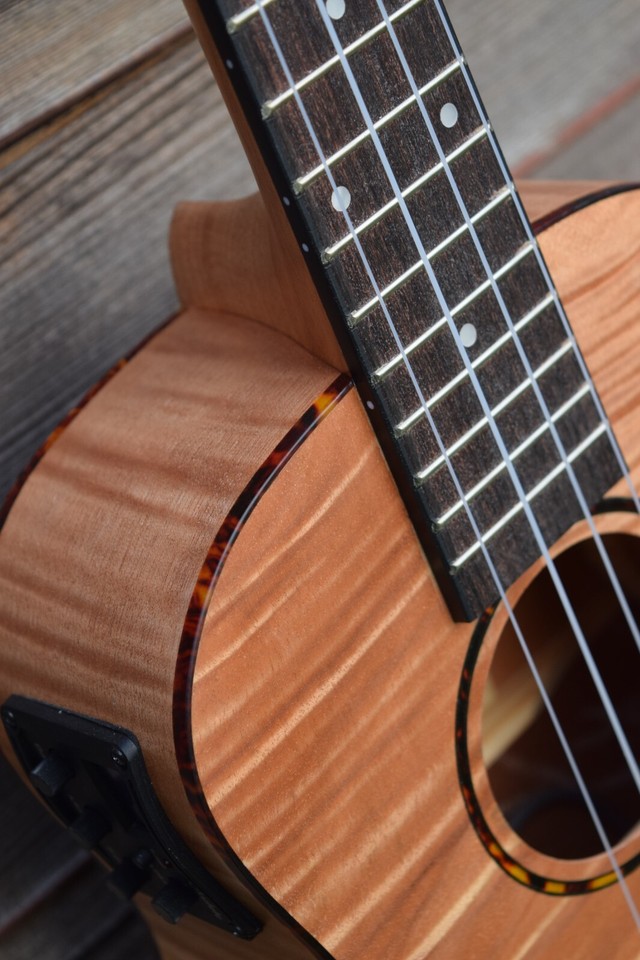 Ukulele Okoume Wood, With/Without EQ, (Canadian brand) | eBay