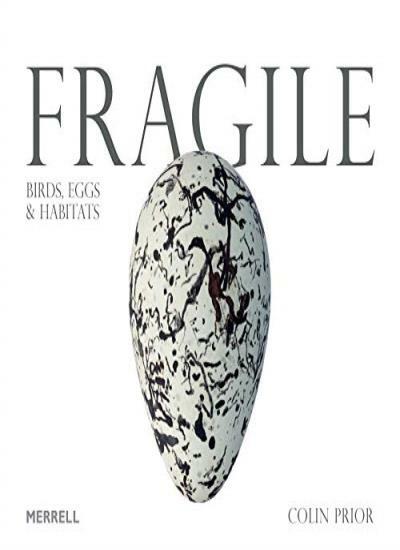 Fragile: Birds, Eggs & Habitats by Prior New 9781858946887 Fast Free ...
