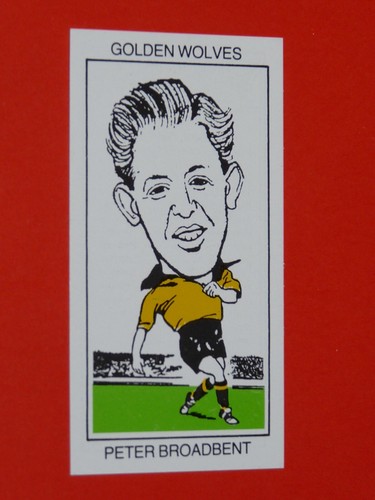 WEST MIDLANDS CARD FOOTBALL 1989 GOLDEN WOLVES WOLVERHAMPTON #21 PETER ...