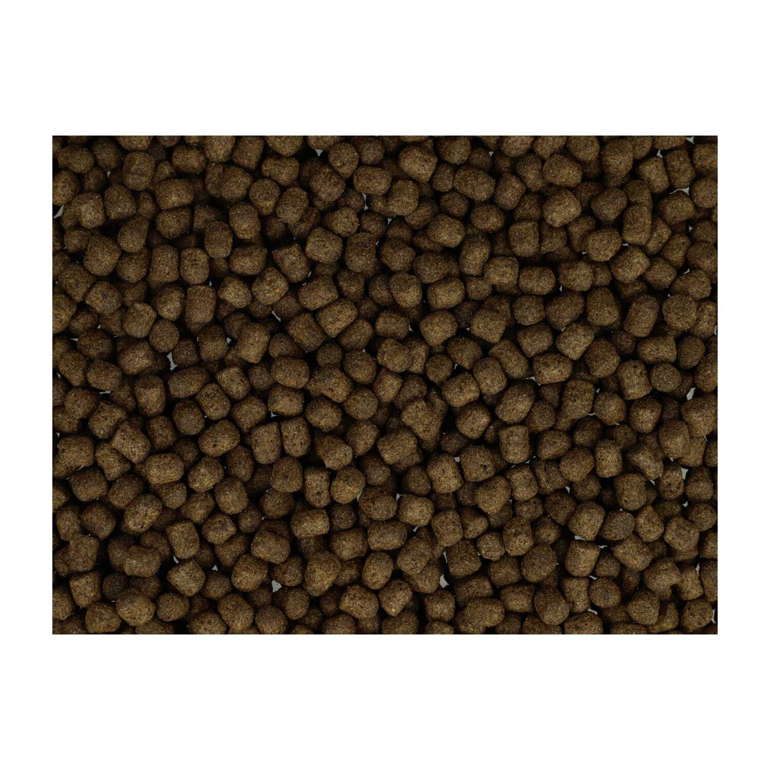 Aqua Vital Swim Fischfutter Karpfen Koifutter Teichfische 9 mm Pellets ...