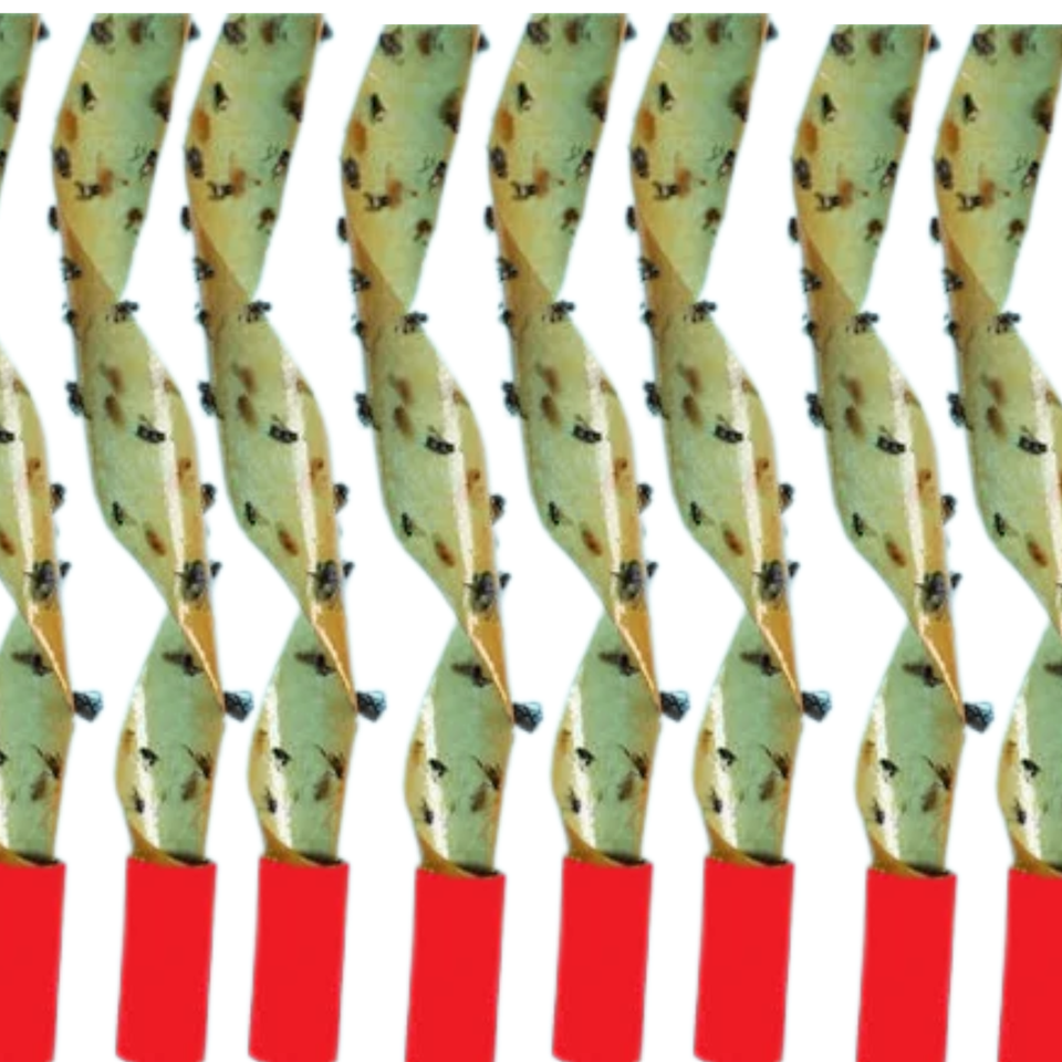 Fly Catcher Paper Sticky Glue Insect Bug Trap Killer Strong Roll Tape ...