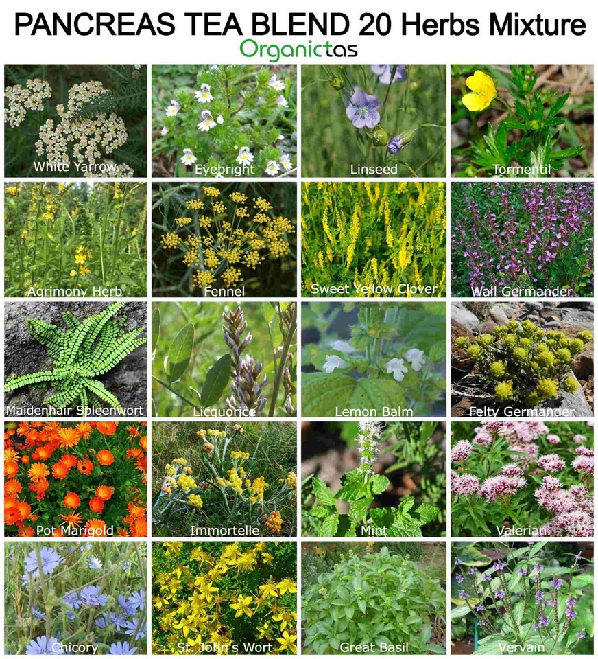 PANCREAS TEA Natural 20 Herbs Organic Herbal Pancreatic Support Care ...