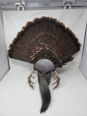 Wild Turkey Tail Fan Display With Talons Beard Mounted Decor Natural ...