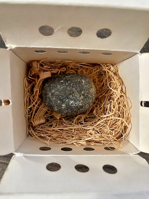 Vintage Original 1975 Pet Rock With Tote Box Booklet by Rock Bottom ...