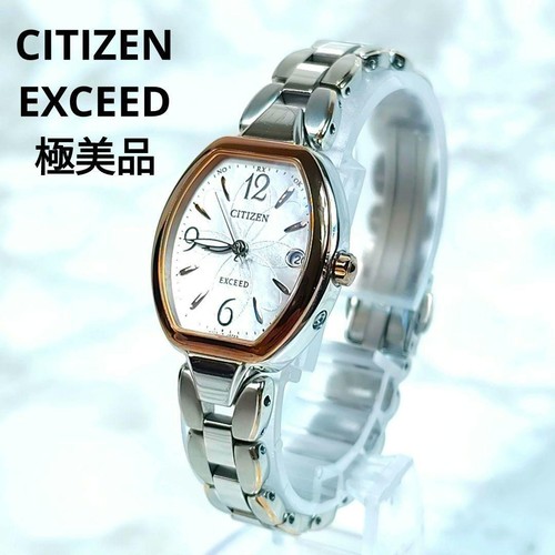 Citizen Exceed Women's Solar Radio Wave Watch Titanium Shell Dial ...