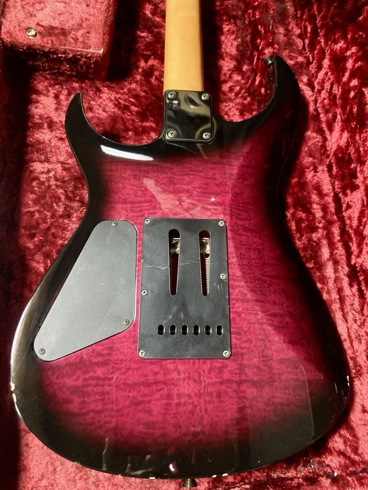 FERNANDES FGZ-400 FGZ Series Made in Japan Electric Guitar w/Soft case ...