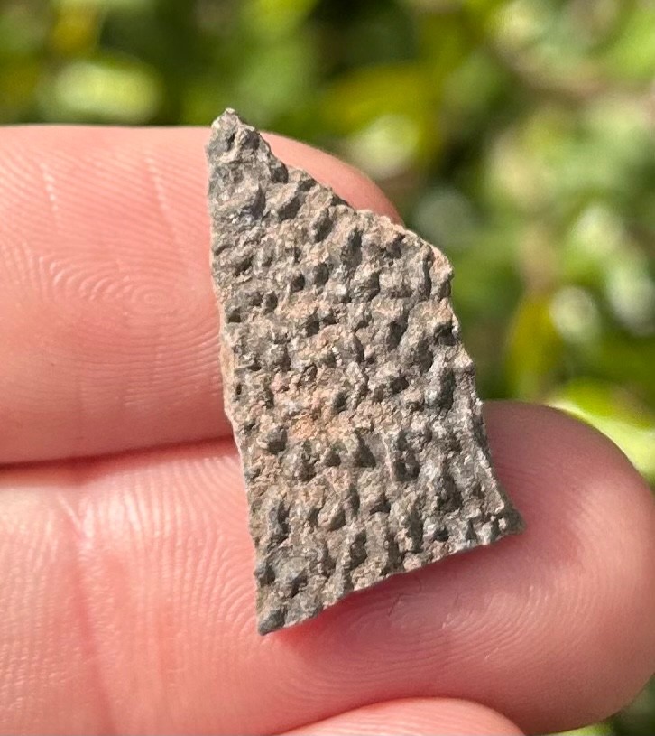 SUPERB Theropod Dinosaur Eggshell Fossil China Cretaceous Age Dino Egg ...