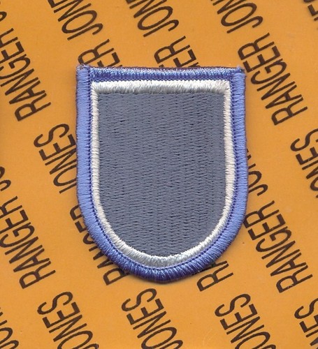 110th MI Bn LRS Long Range Surveillance Airborne beret flash patch #2 m ...