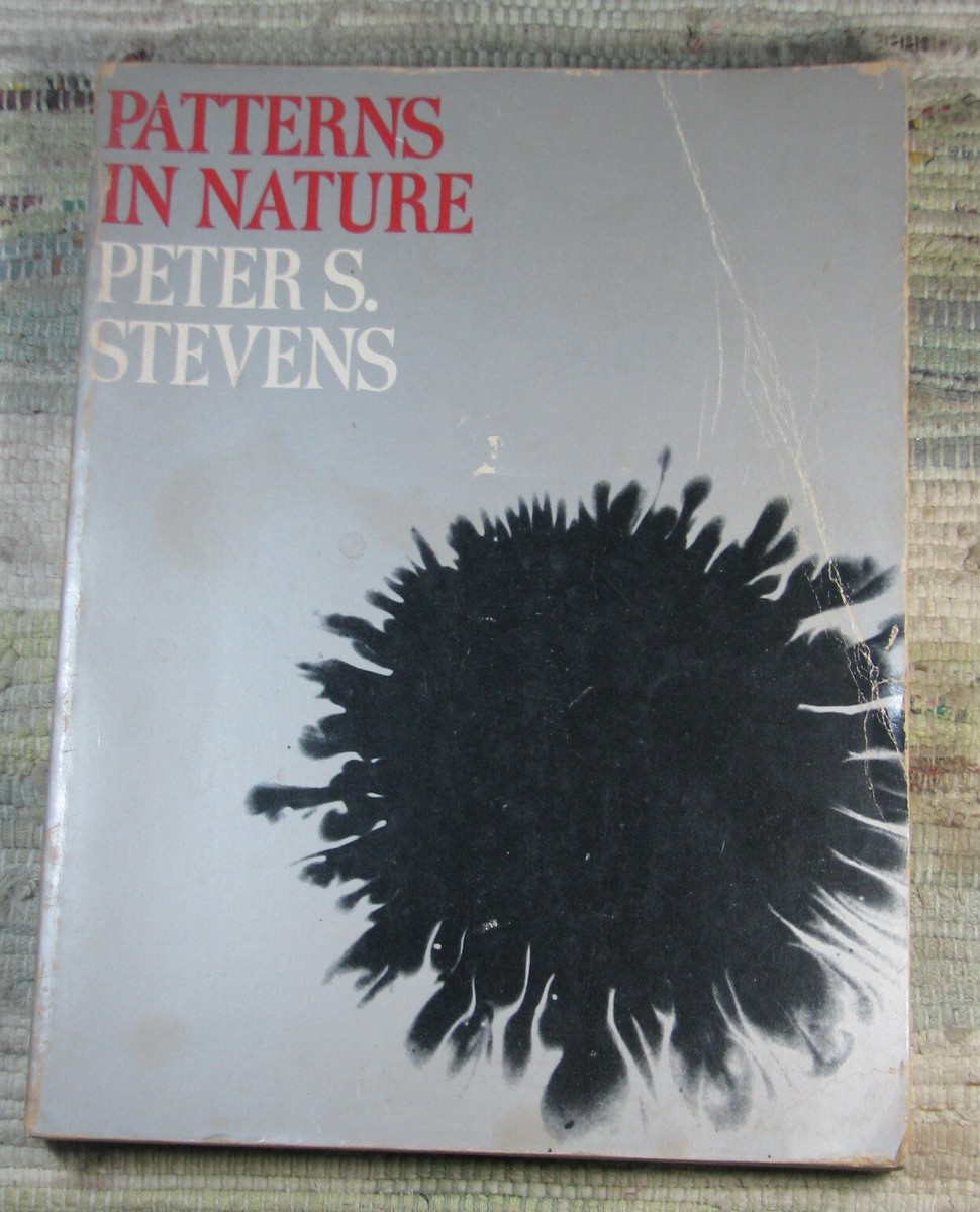 Patterns In Nature What Are Fractals? New Exhibit At This Oregon