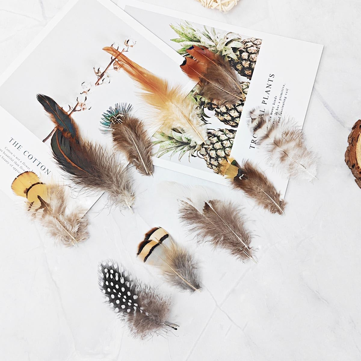 200Pcs 10 Style Natural Feathers Assorted Mixed Feathers for Dream ...