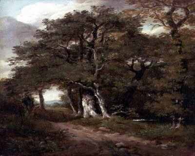 Constable A4 sign A Wooded Path | eBay
