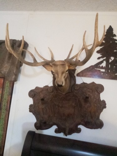 HUGe Resin Gun Rack Extremely Rare MULE DEER 2 Racks 12 Points | eBay
