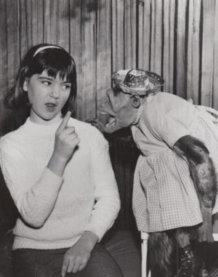 Patty Peterson in "The Donna Reed Show" ABC-Original TV Still | eBay