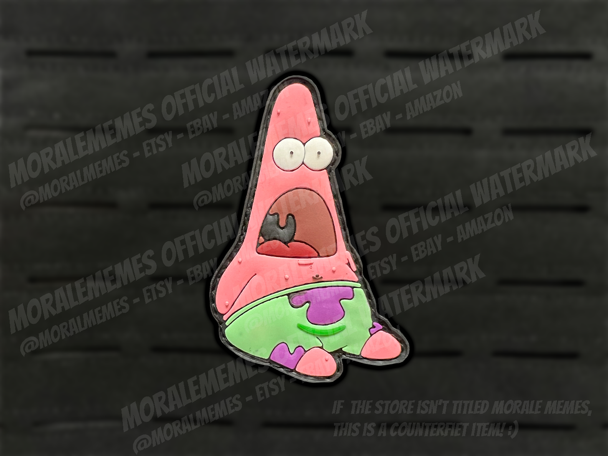 Shocking Memes 20 Funny Shocked Cat Memes