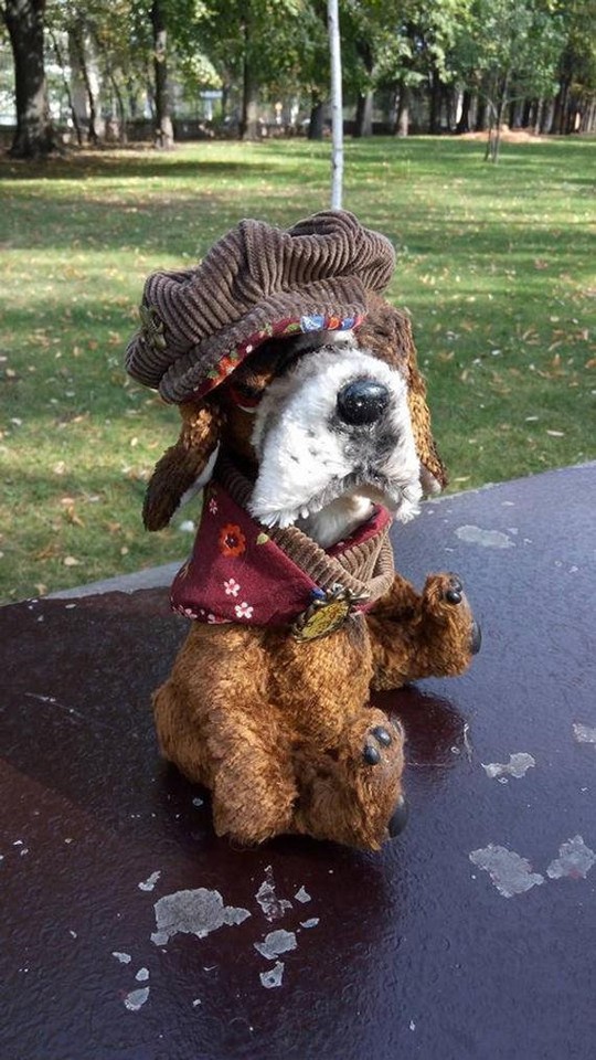 dog Teddy boxer Toy dog Stuffed dog | eBay