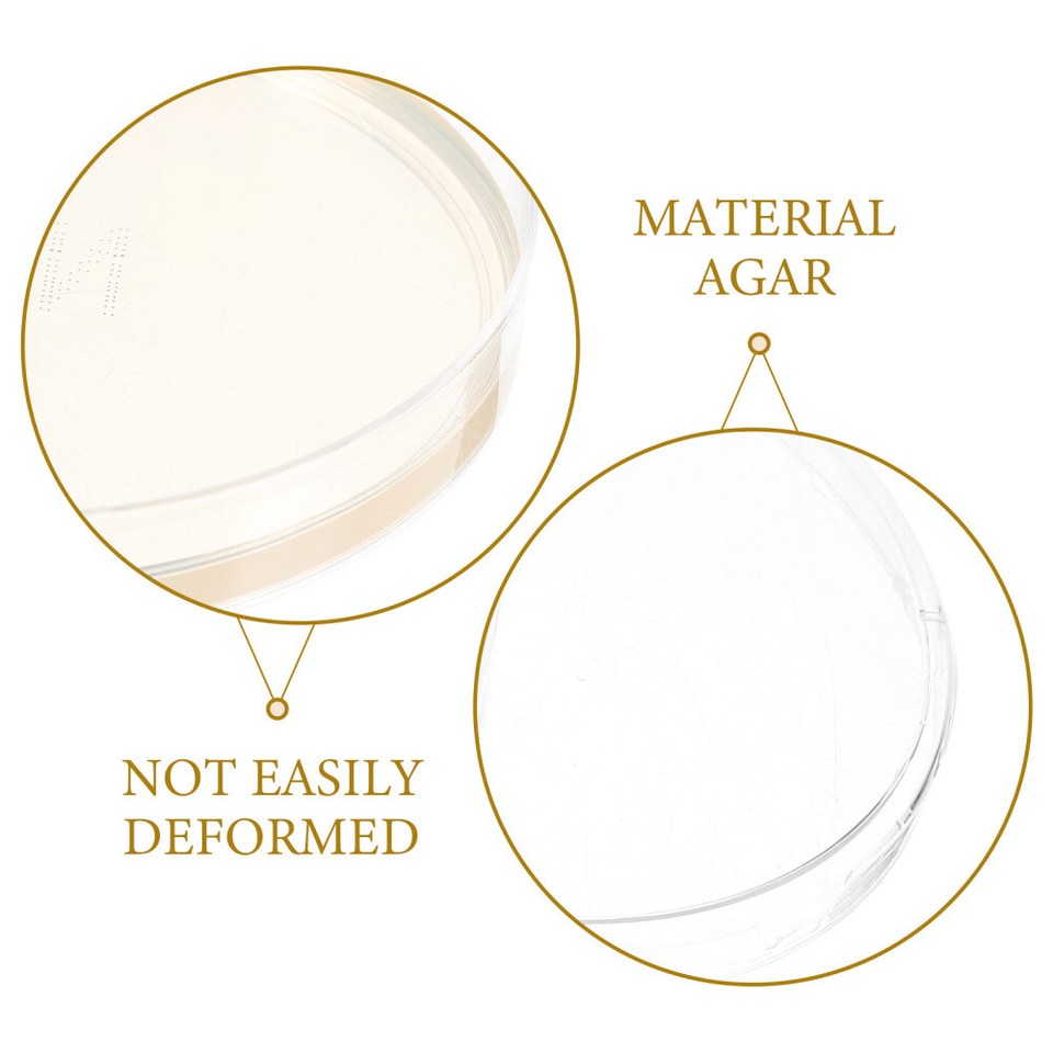 10 Pcs Laboratory Experiment Supplies Agar Fake Petri Dish Nutrient | eBay