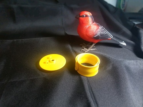 Electronic singing bird color red sensor detection | eBay