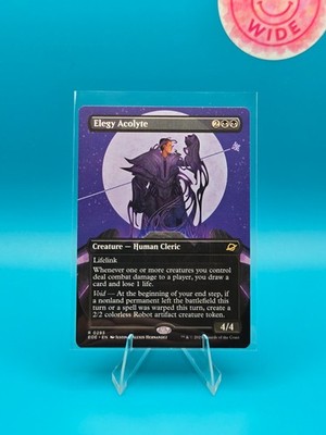 NM - 2025 Magic the Gathering EN, Elegy Acolyte, Rare, 293 | eBay