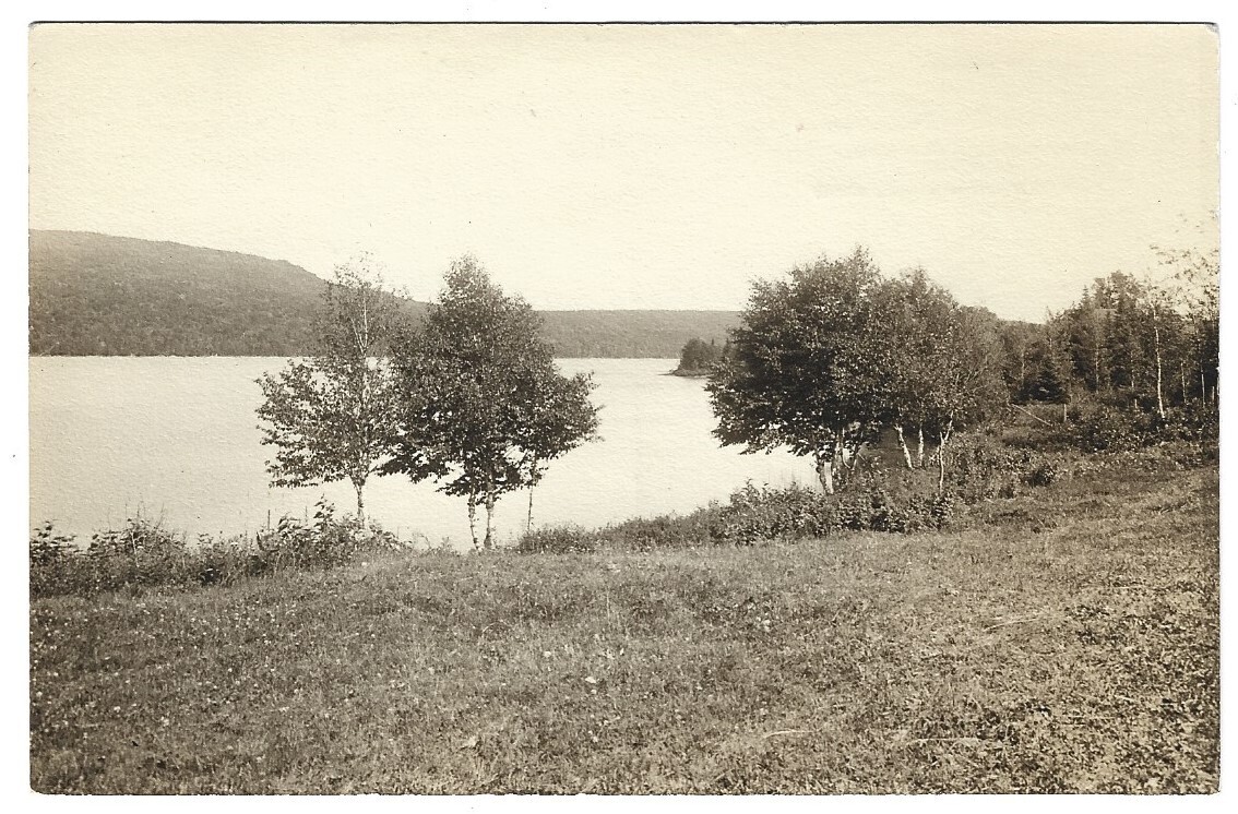 PARLIN POND TOWNSHIP ME Postcard A YARD SCENE Lake Parlin Hotel Co ...