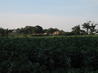 Photo 6x4 Sandridge Farm Westbrook/ST9565 c2006 | eBay UK