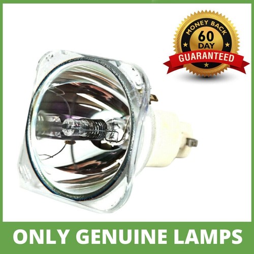 Original Projector OEM Lamp Bulb for Acer P5260E PD525PW/PD527D DLP ...