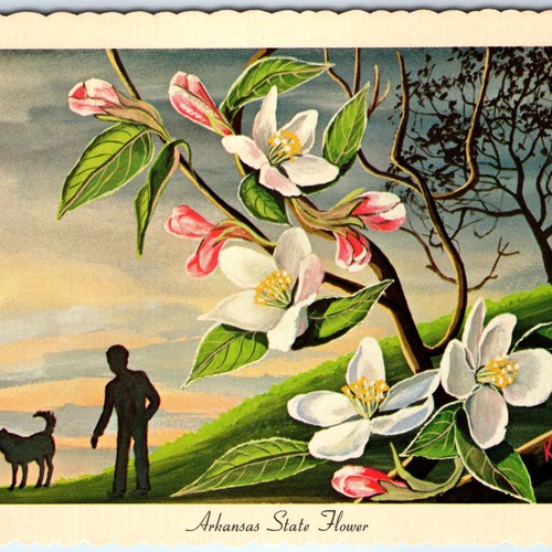 1967 AR Arkansas Flower Apple Blossom Dog Man Sunset Ken Haag Painting ...