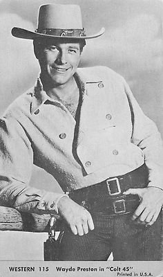 WAYDE PRESTON AMERICAN TV ACTOR ARCADE CARD NON-P/C | eBay