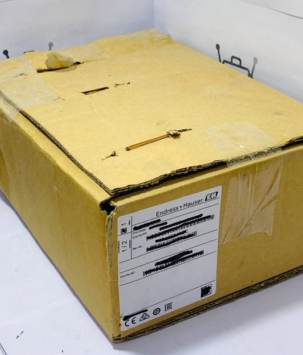 Endress Hauser D-87484 rtd thermometer TR10-ABA1CDS8C300E | eBay