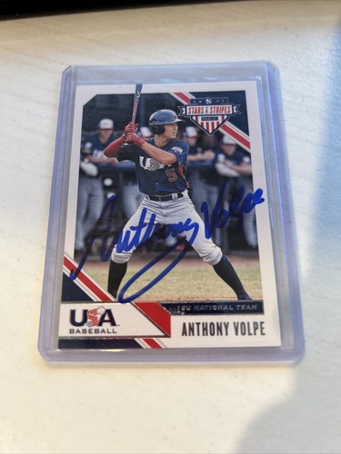 2020 USA Baseball Stars and Stripes Anthony Volpe #99 New York Yankees ...