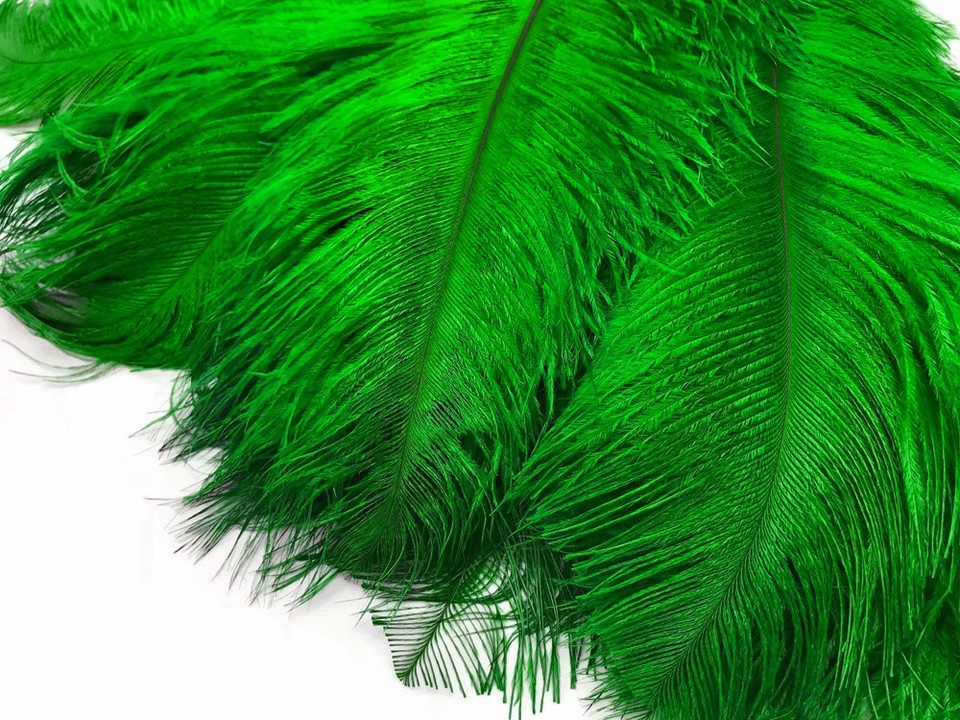 10 Pieces - 8-10" Kelly Green Ostrich Dyed Drabs Feathers Halloween ...