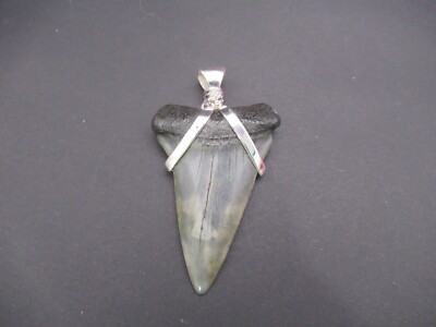 Starborn Creations Pendant - Sterling Silver Fossil Shark Tooth (XL ...
