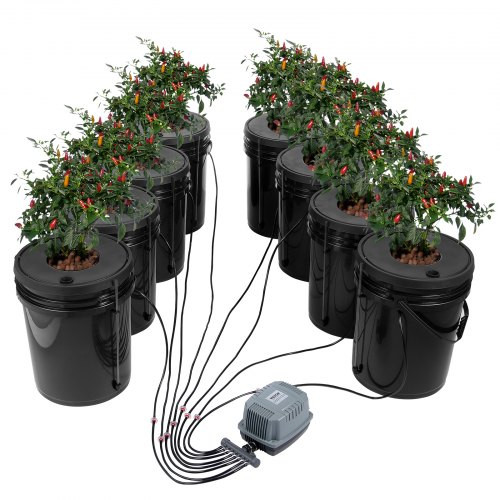 DWC Hydroponics Deep Water Culture System with 8 Growing Buckets and ...