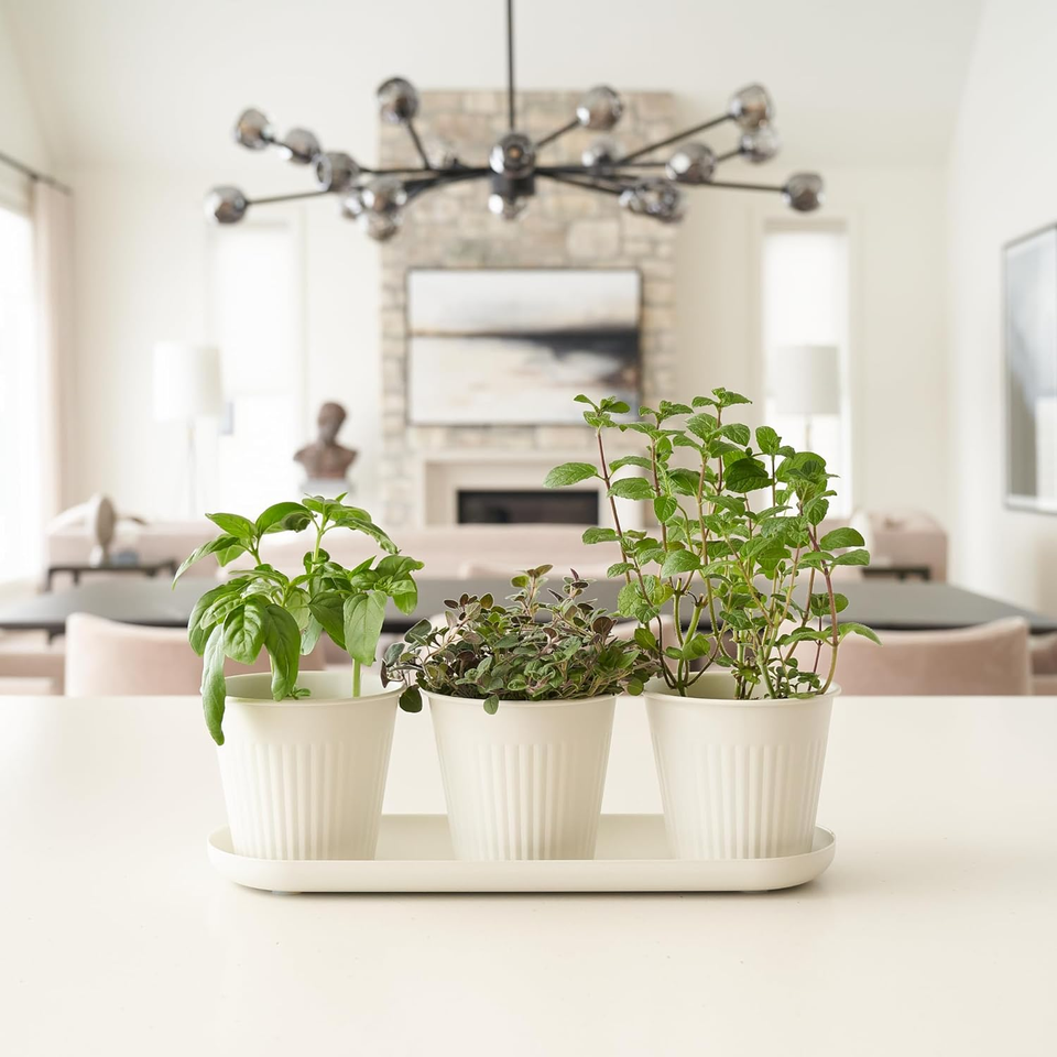 3set Beautiful Herb Garden Planter Indoor Perfect Kitchen Window Sill ...