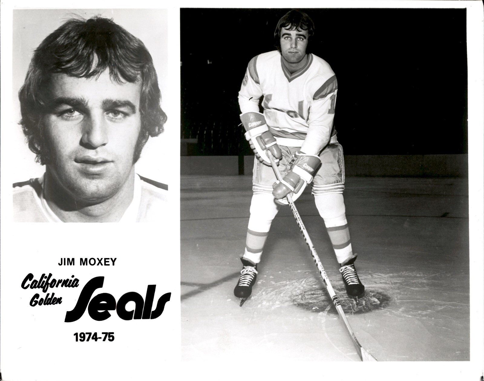 BR47 1970s Rare Original Photo JIM MOXEY California Golden Seals Ice ...