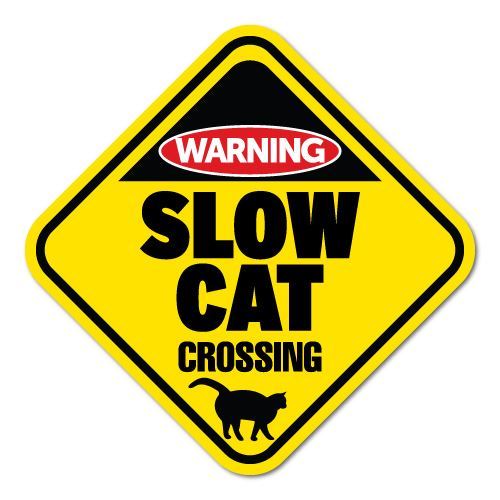 Warning Slow Cat Crossing Pet Sticker Funny Car Stickers Novelty Decals ...