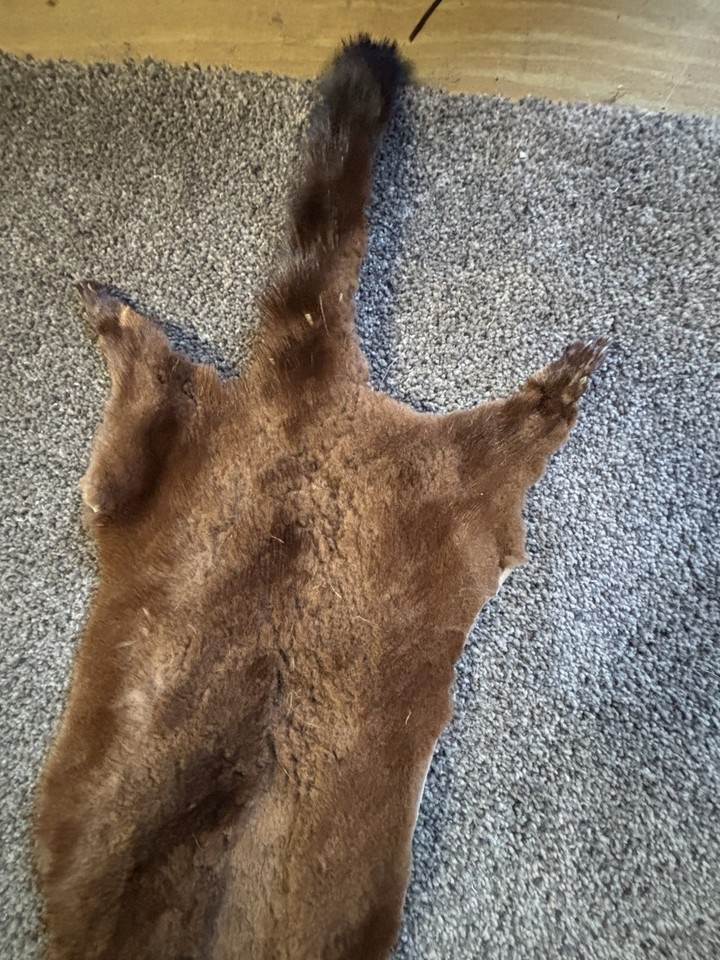 Mink pelt hide | eBay