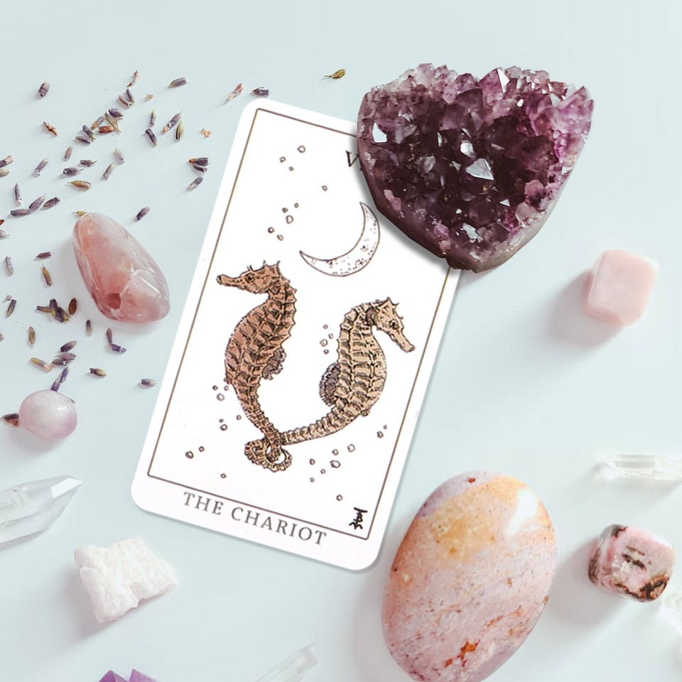 TEMPEST TAROT DECK 78pcs Fortune Telling Game for Family Gatherings ...