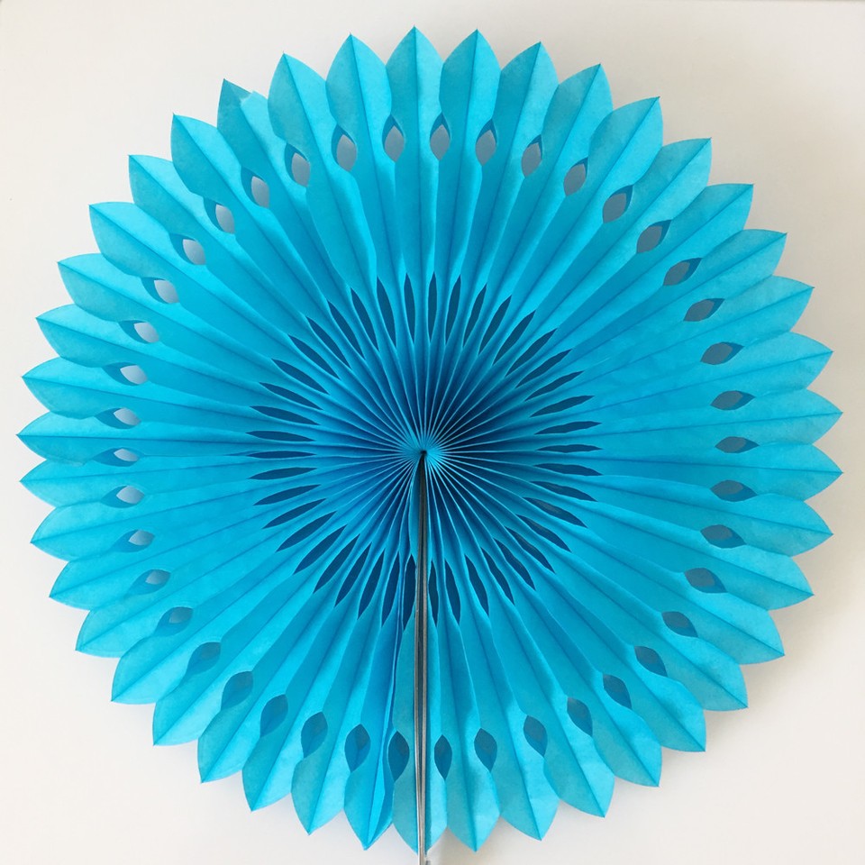 Tissue Paper Flower Hanging Fan Wedding Birthday Garland Party Decor ...