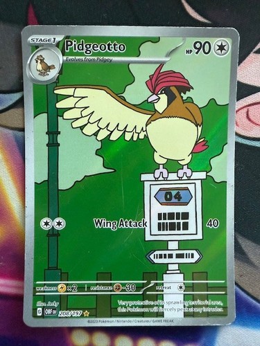 Pokemon Pidgeotto Card 208 Oosidian Flames | eBay