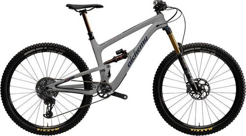 2019 Alchemy Arktos 29 ST Large Mountain Bike | eBay