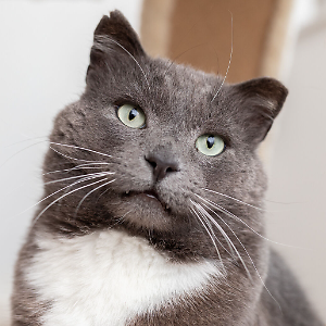 Blue Acres Farm | eBay Stores