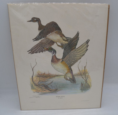 Tony Biagi Wood Duck Art print Limited Edition plate III NOS new old ...