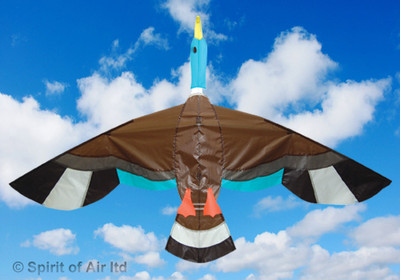 Duck Single Line Kite by Spirit of Air | eBay UK
