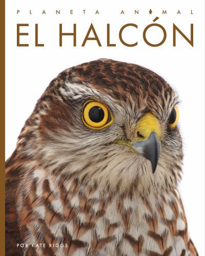El Halcón by Riggs, Kate 9781640266902| eBay