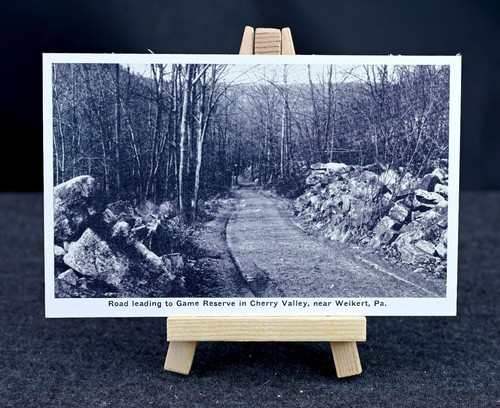 Weikert, PA - Cherry Valley Road to Game Reserve Pennsylvania Postcard ...